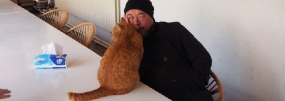 TRIAL ABOUT FAKE | Bozar Brussel