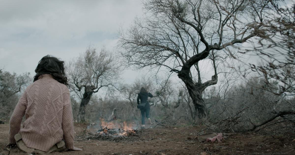 The Day I Lost My Shadow - Soudade Kaadan | Bozar Brussel