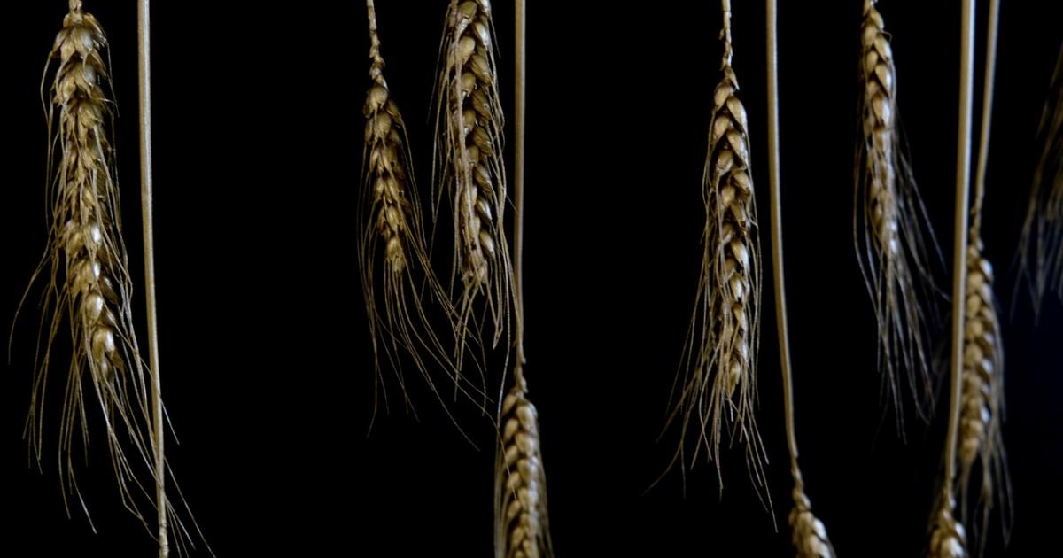 Monira Al Qadiri. The Archaeology of Beasts | Bozar Brussels